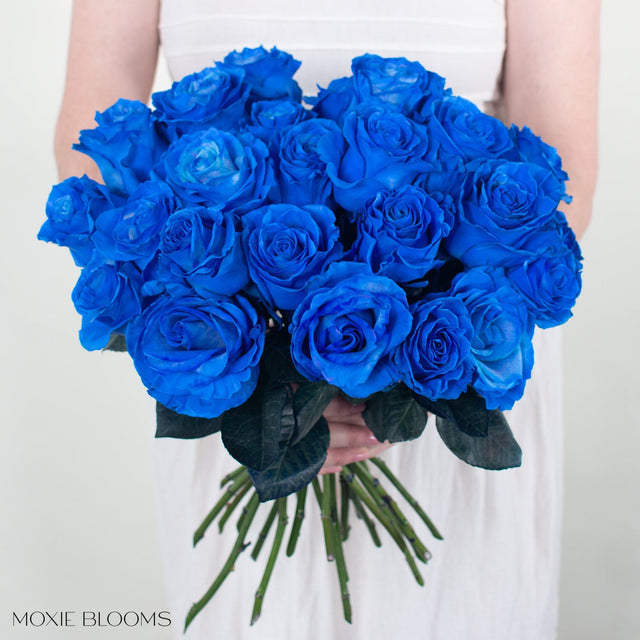 Novelty Roses – Flower Moxie