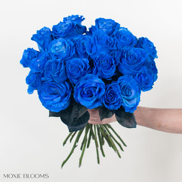 Novelty Roses – Flower Moxie