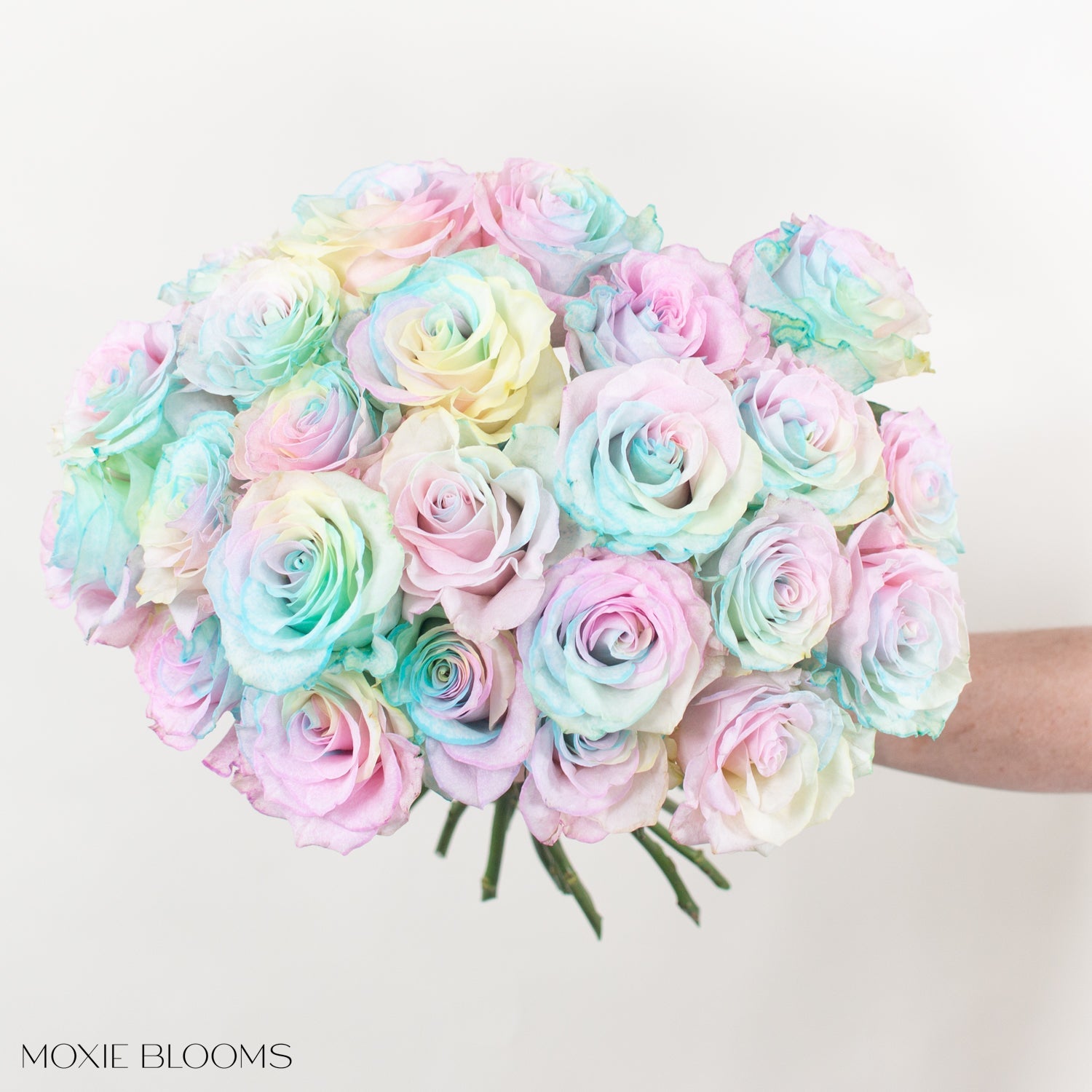 Novelty Roses | Flower Moxie | Roses for DIY Wedding