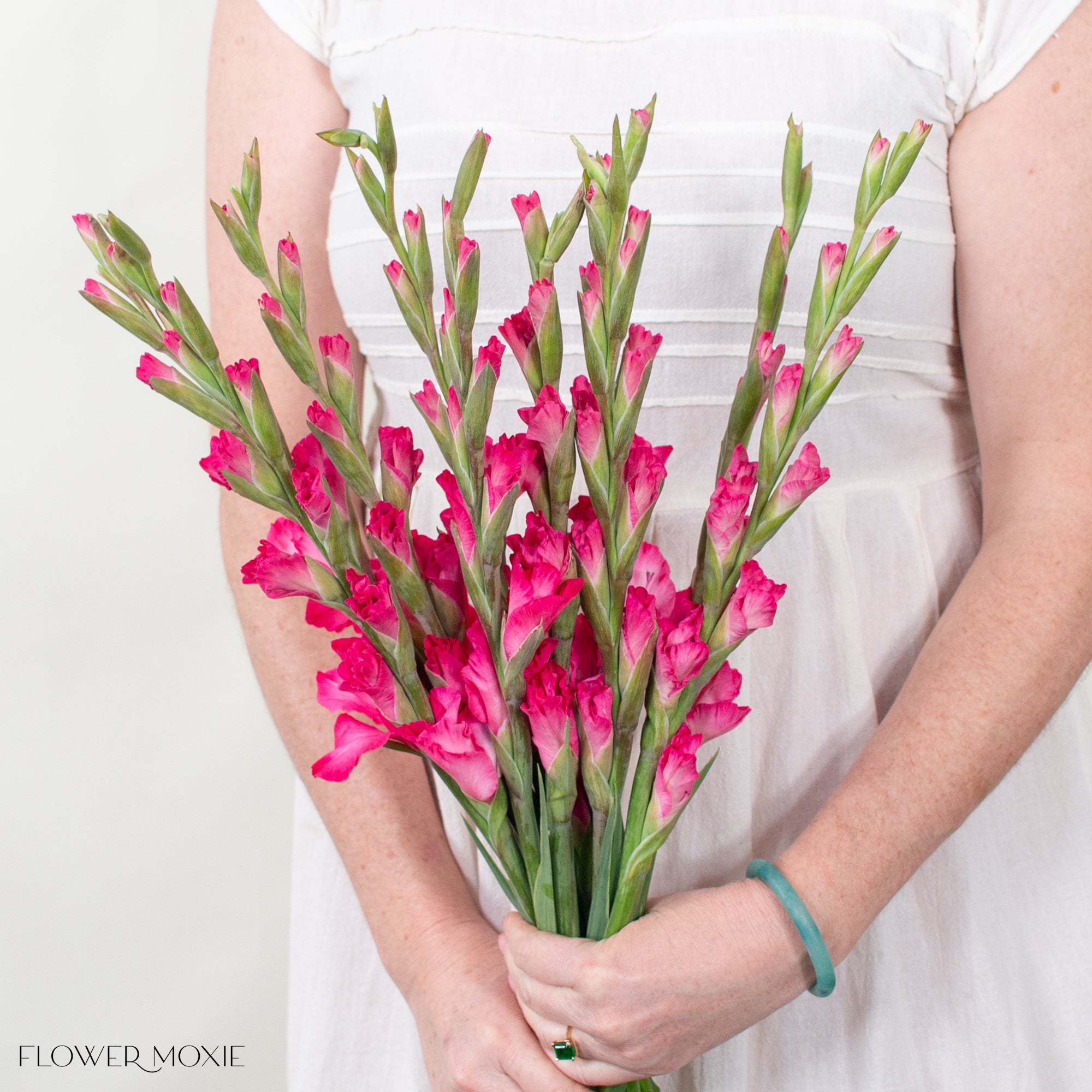 Pink Mini Gladiolus Flower – Flower Moxie