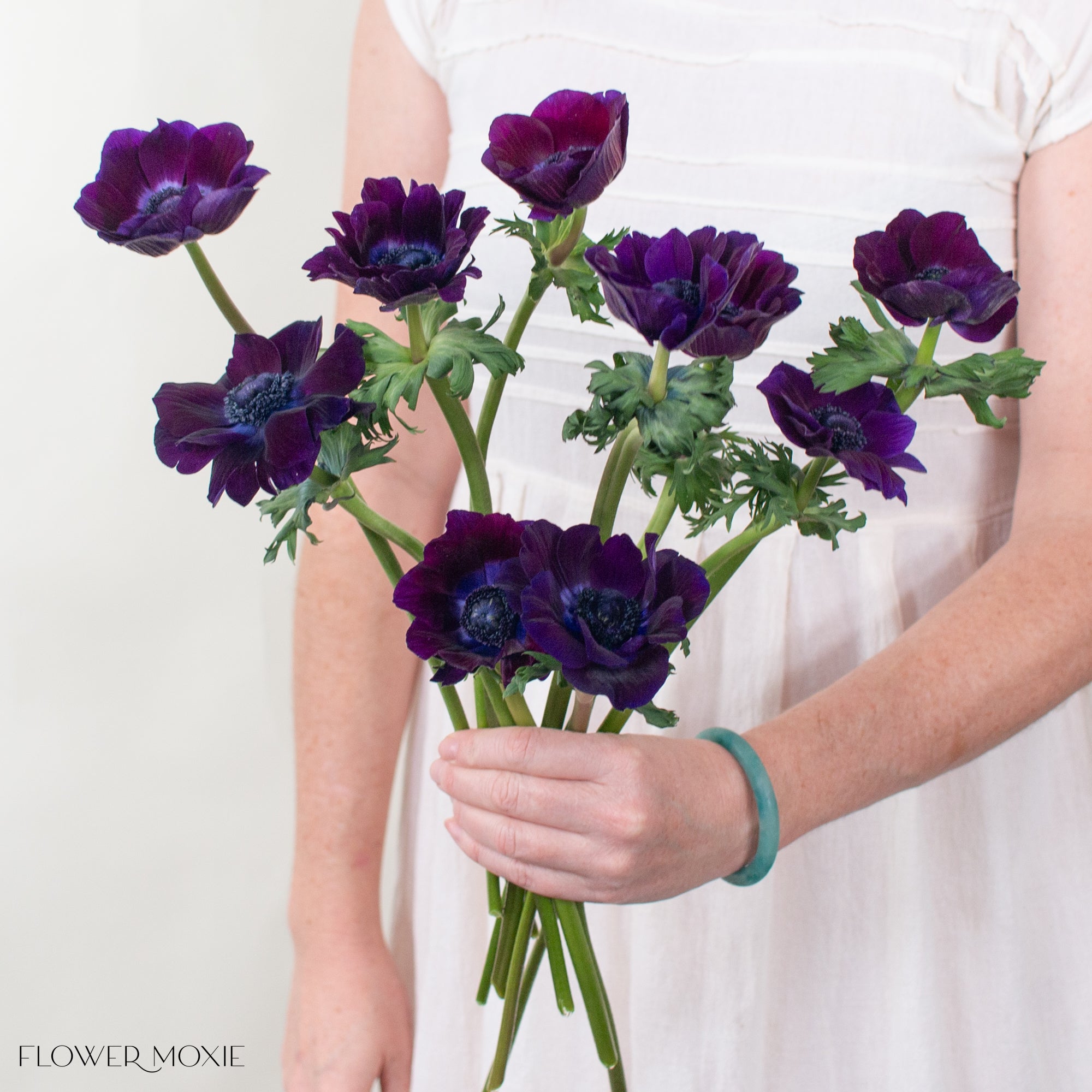 Burgundy Anemone Flower | DIY Wedding Flowers | Flower Moxie