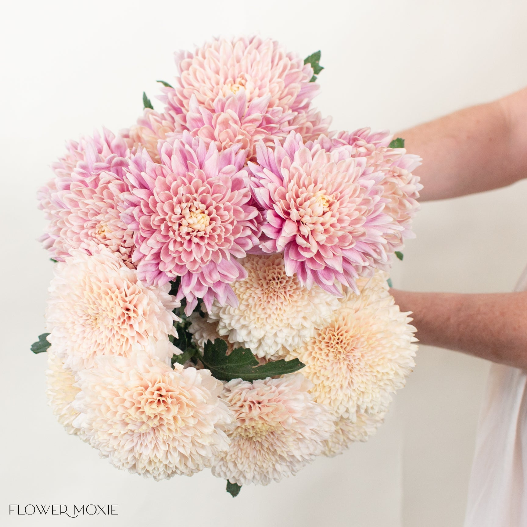 Peachy Pink and Champagne Cremones Mixed Box | DIY Wedding Flowers ...
