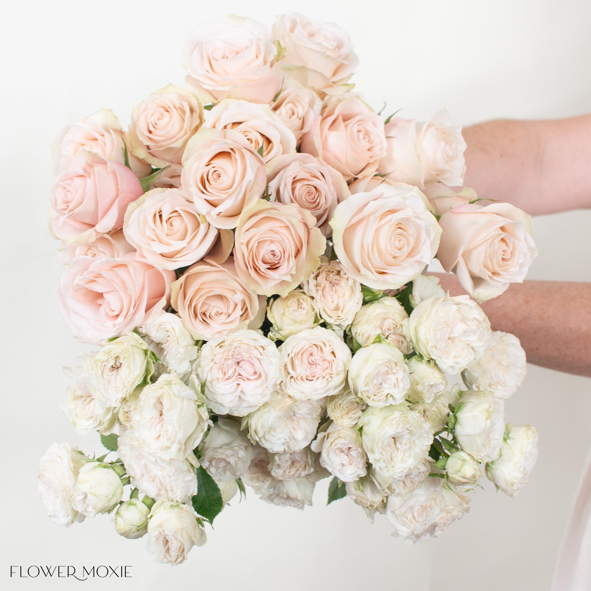 Lady Eva Roses and Blush Spray Roses Mixed Box | DIY Wedding Flowers ...