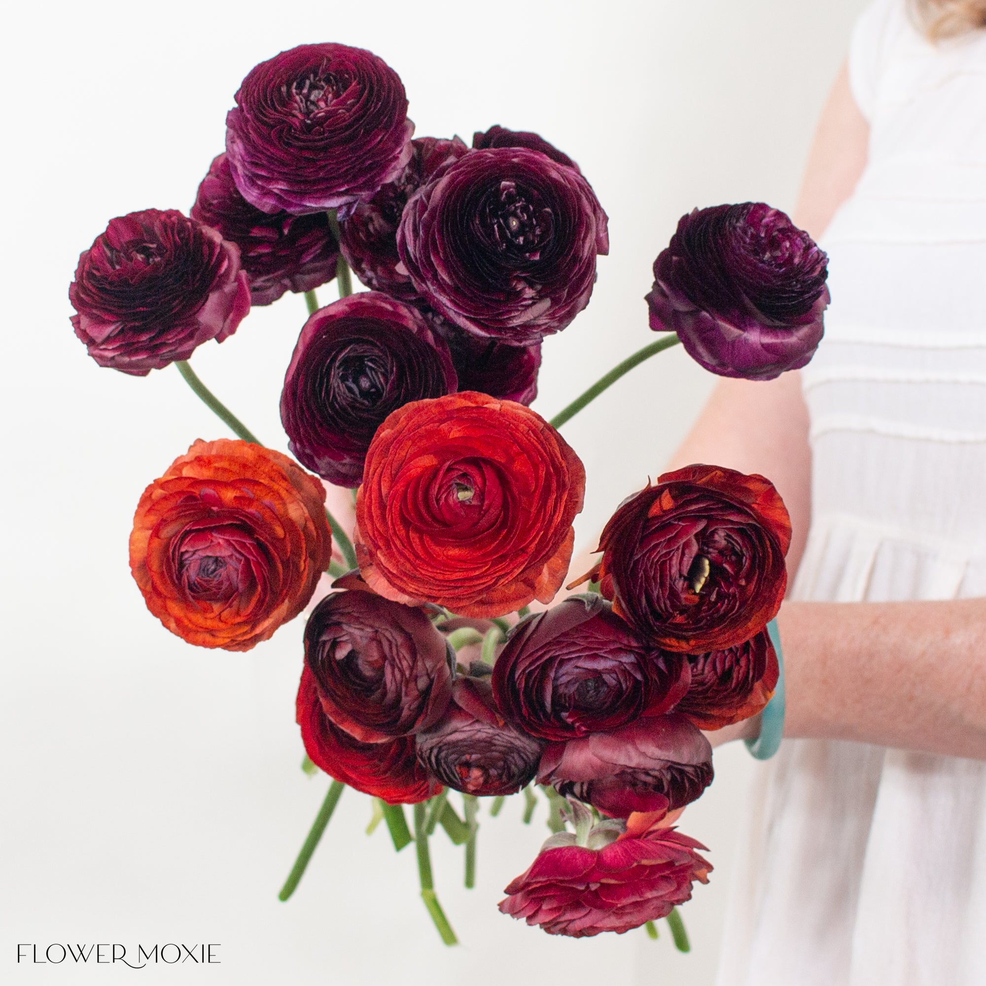 Deep Violet and Chocolate Ranunculus Mixed Box | DIY Wedding Flowers ...