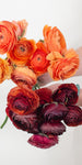 Orange and Chocolate Ranunculus Mixed Box | DIY Wedding Flowers ...