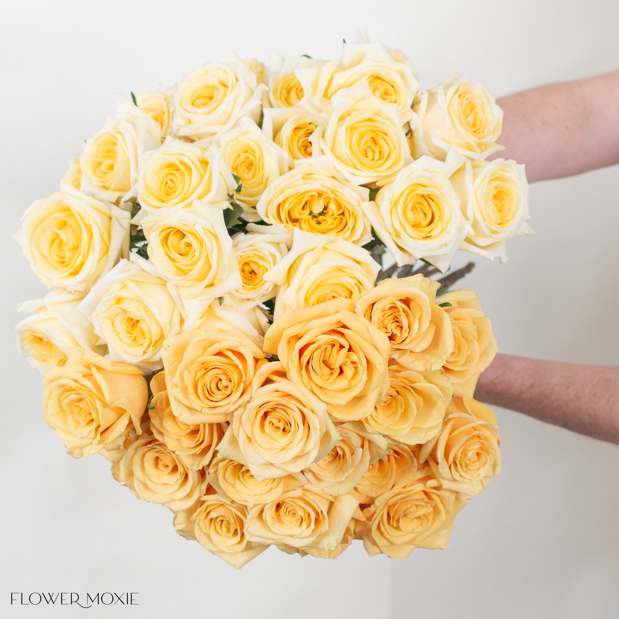 Carina and Bumblebee Roses Mixed Box | Flower Moxie Bulk Flowers