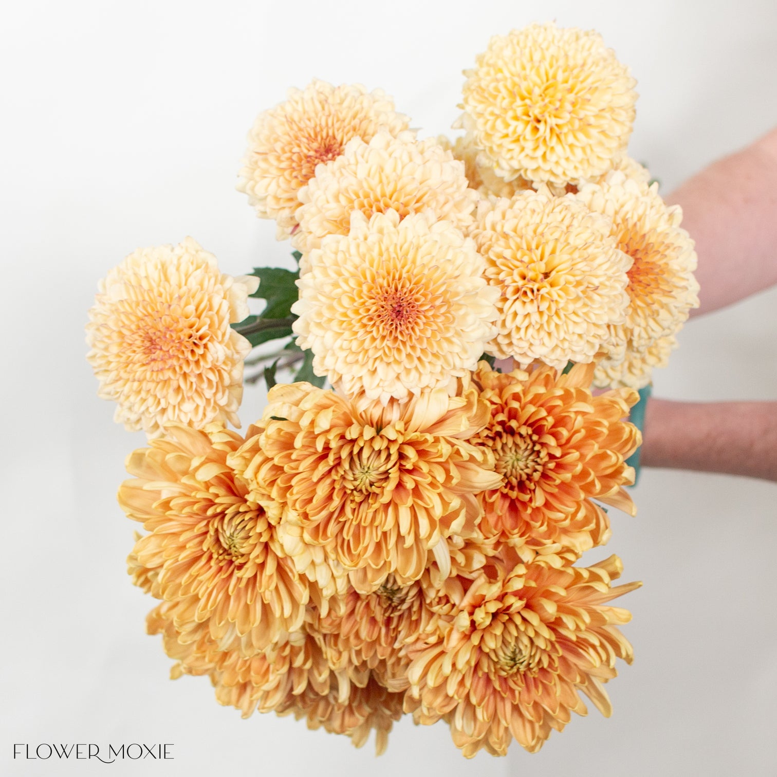 Creme Brulee and Salmon Cremones Mixed Box | DIY Wedding Flowers ...