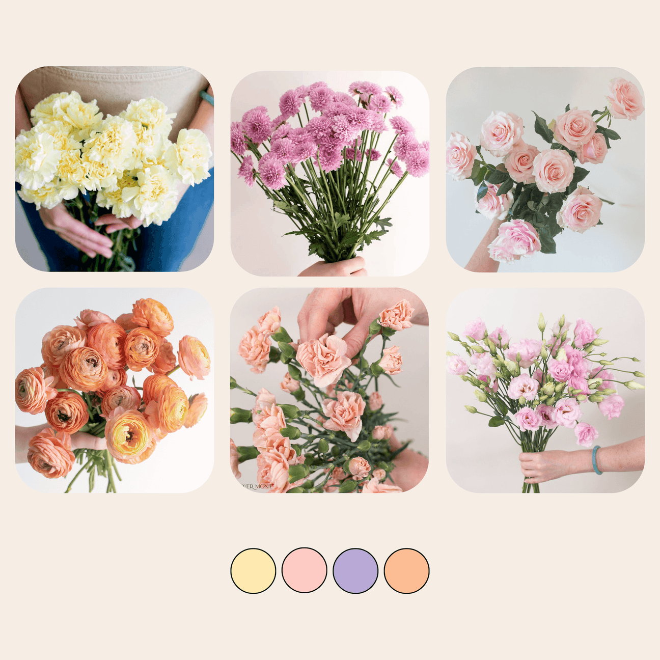 Pastels Mixed Box | Flower Moxie Bulk Flowers