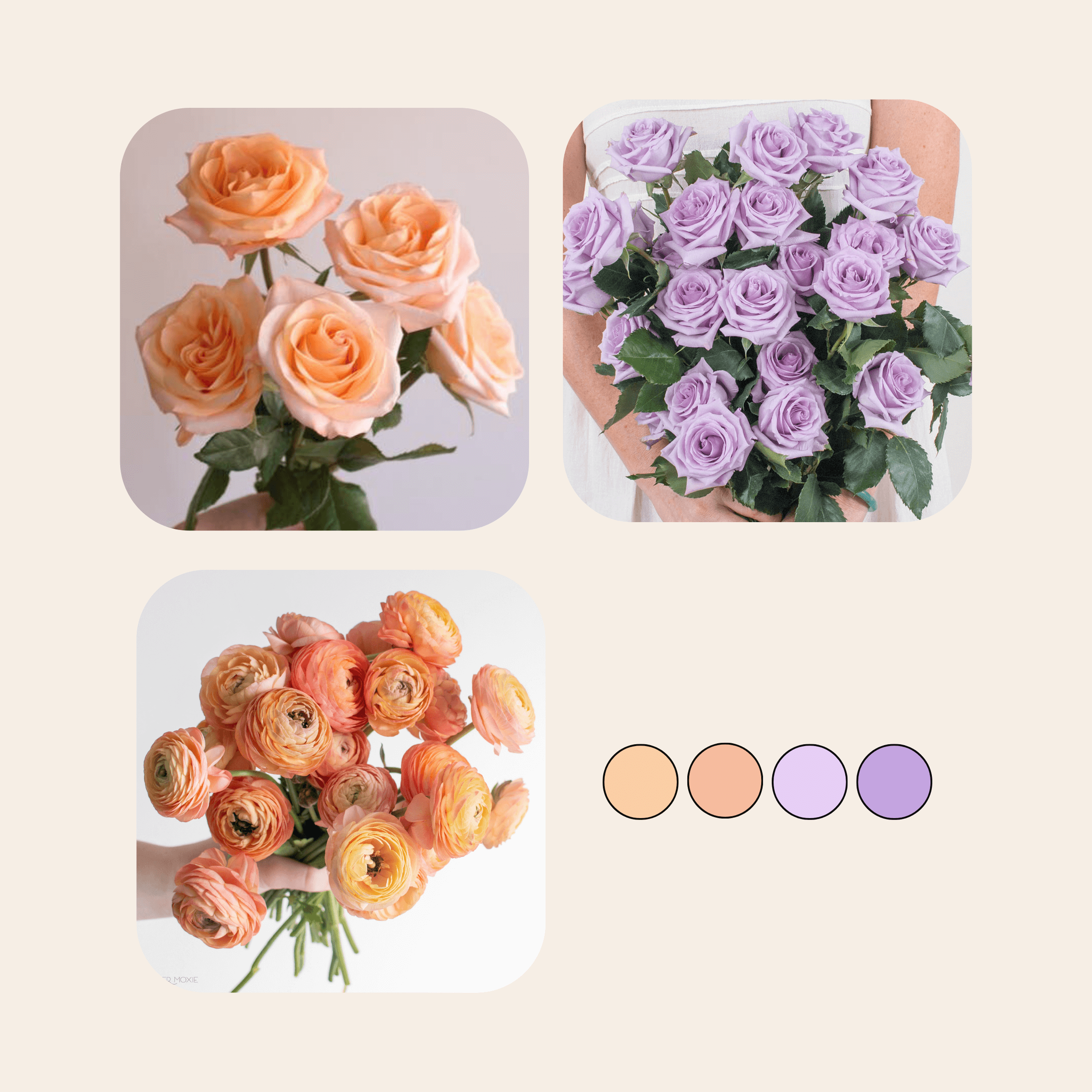 Peach and Lilac Mixed Box | Flower Moxie Bulk Flowers