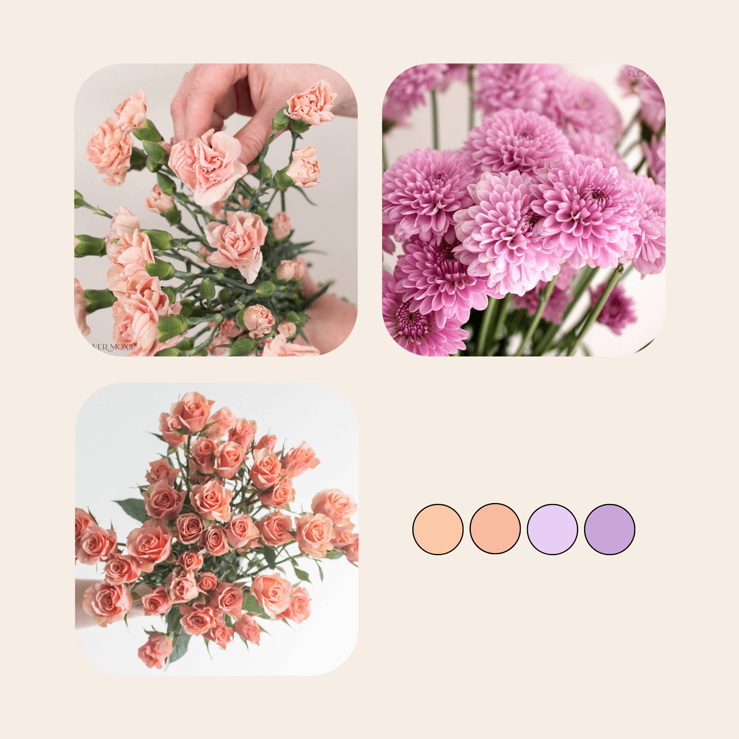 Peach and Lilac Filler Mixed Box | Flower Moxie Bulk Flowers