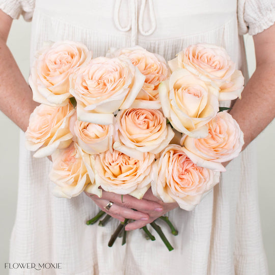 Peach Princess Maya Garden Rose | DIY Wedding Flowers – Flower Moxie