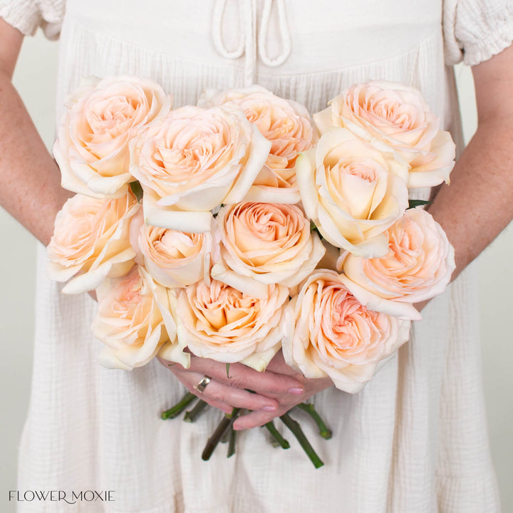 Peach Princess Maya Garden Rose | DIY Wedding Flowers – Flower Moxie
