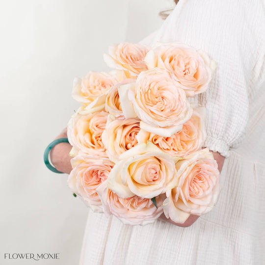 Peach Princess Maya Garden Rose | DIY Wedding Flowers – Flower Moxie