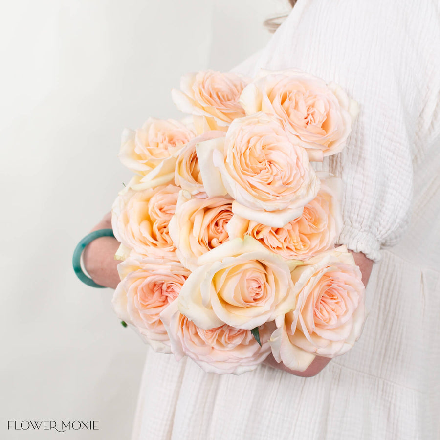 Peach Princess Maya Garden Rose | DIY Wedding Flowers – Flower Moxie