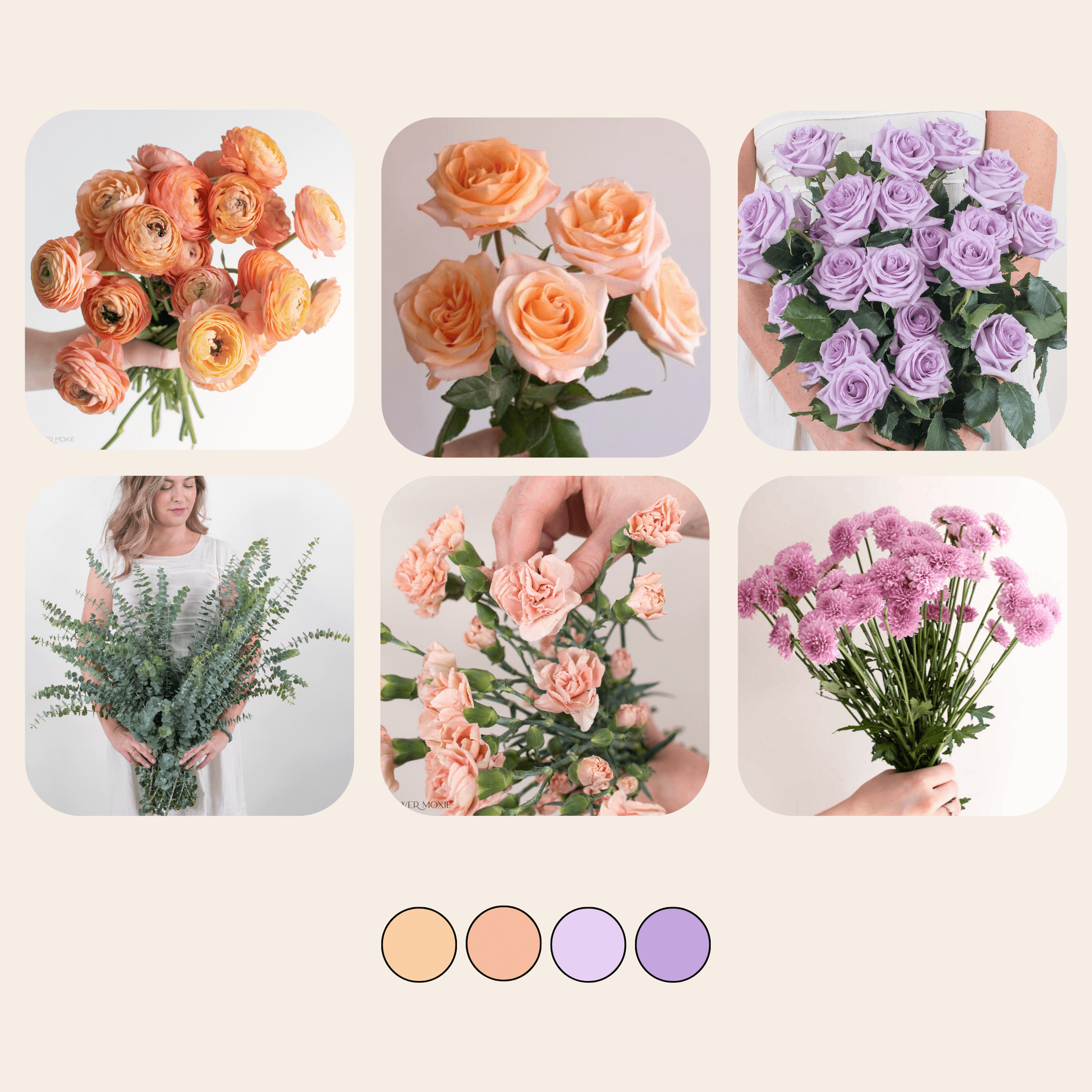 Peach and Lilac Sample Box | Flower Moxie Bulk Flowers