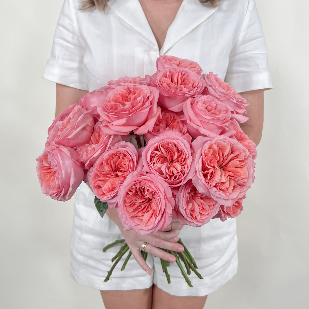 Pink Xpression Garden Rose | DIY Wedding Flowers | Flower Moxie