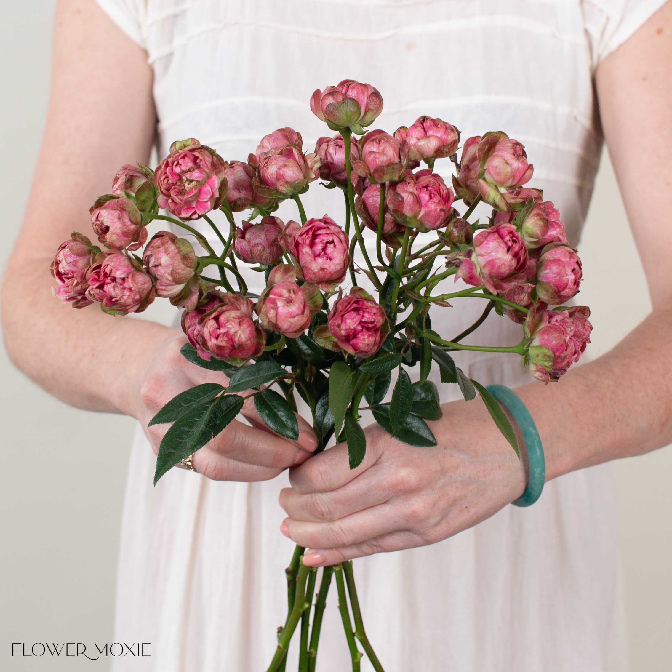 Pink Princess Pinku Spray Garden Roses | Bulk Wedding Flowers - Flower ...