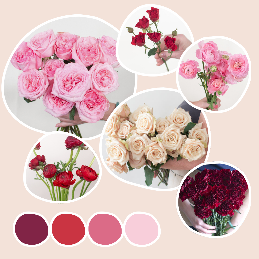 Red Currant Sample Box | Flower Moxie Bulk Flowers