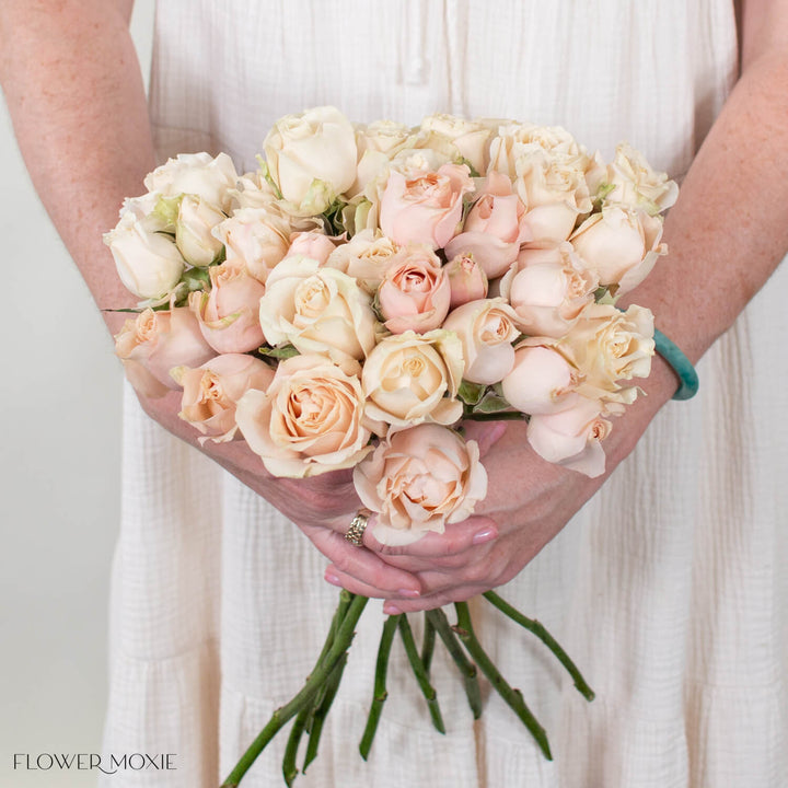 Champagne Sahara Spray Roses | DIY Flowers | Flower Moxie