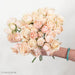 Champagne Sahara Spray Roses | DIY Flowers | Flower Moxie
