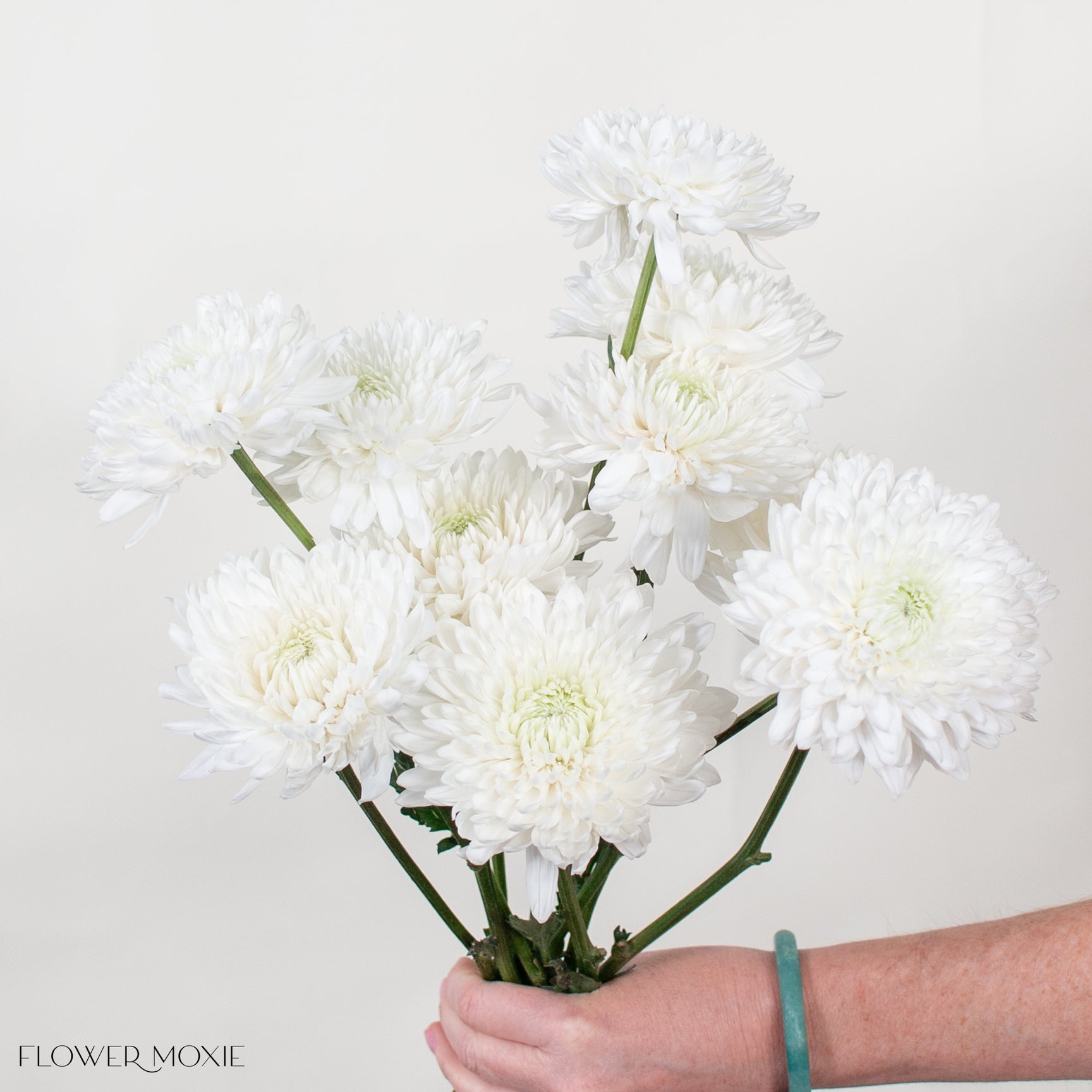White Cremone Flower | DIY Wedding Flowers | Flower Moxie