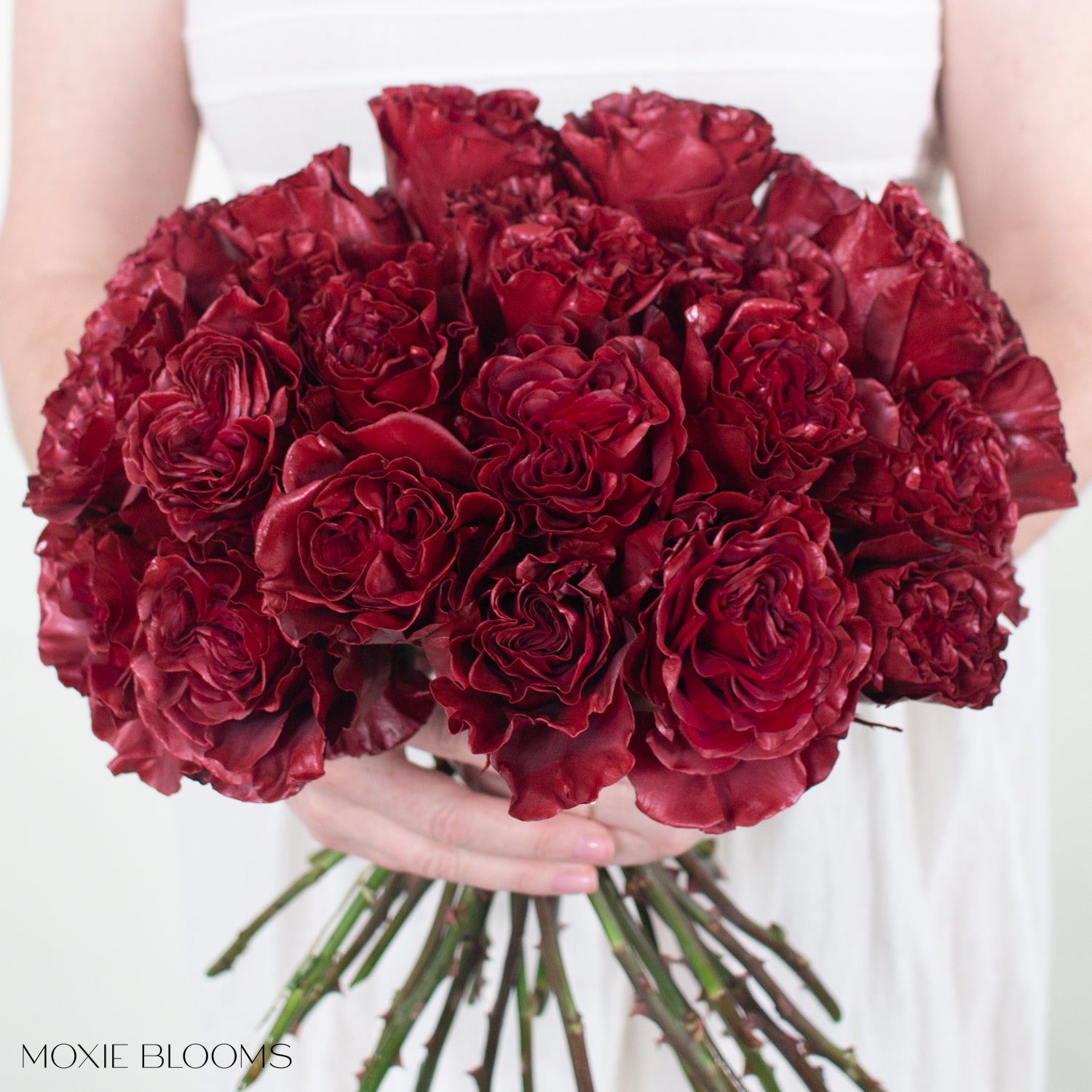 Novelty Roses | Flower Moxie | Roses for DIY Wedding
