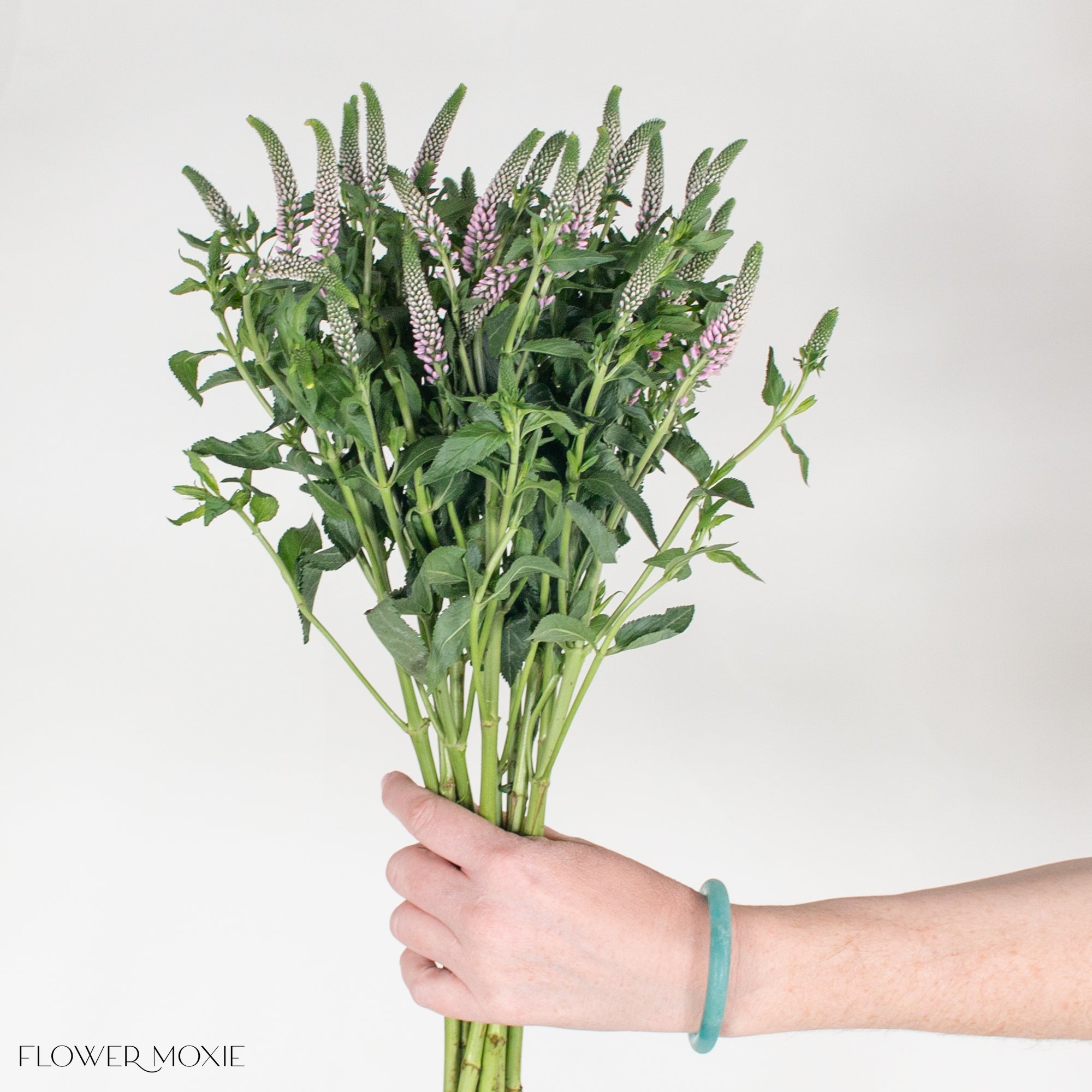 Pink Spray Veronica Flower | DIY Wedding Flowers | Flower Moxie