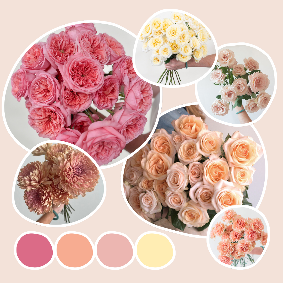 Sunset Sample Box | Flower Moxie Bulk Flowers