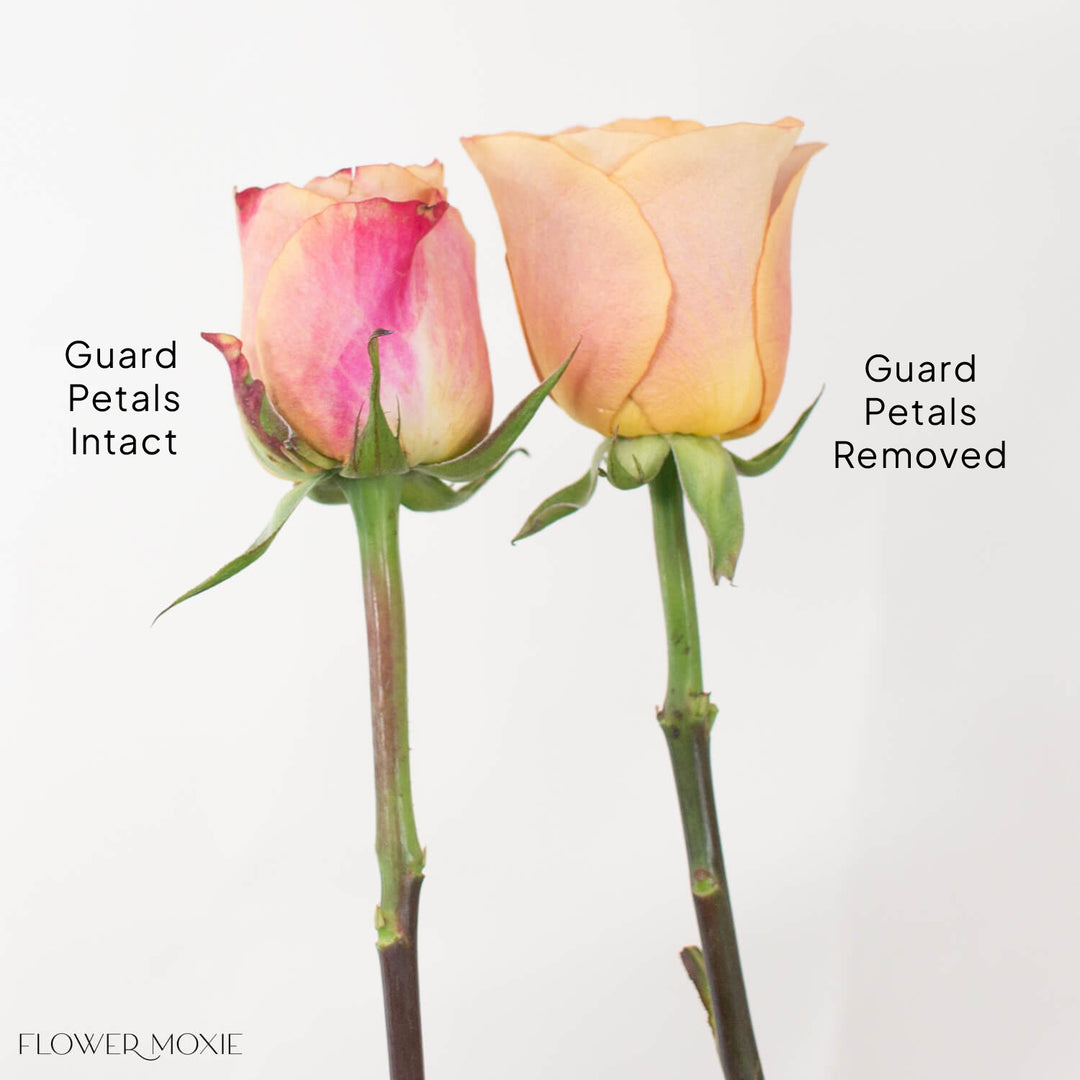 Golden Brown Symbol Rose | DIY Wedding Flowers | Flower Moxie