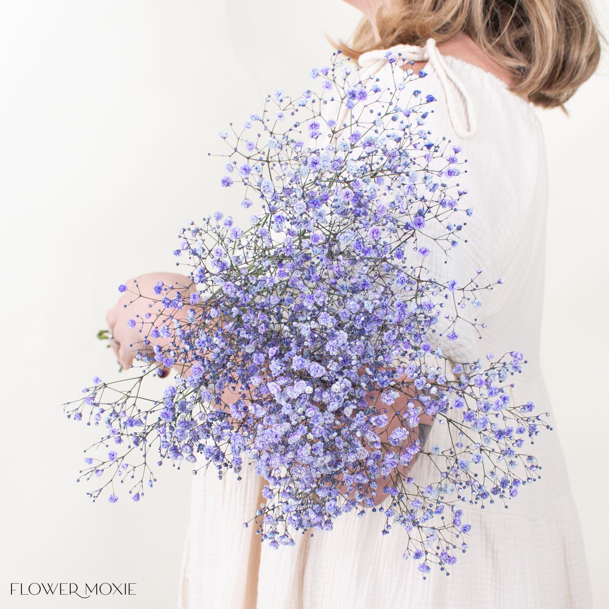 Bulk Lavender Baby's Breath | Wedding Flowers Online | Flower Moxie