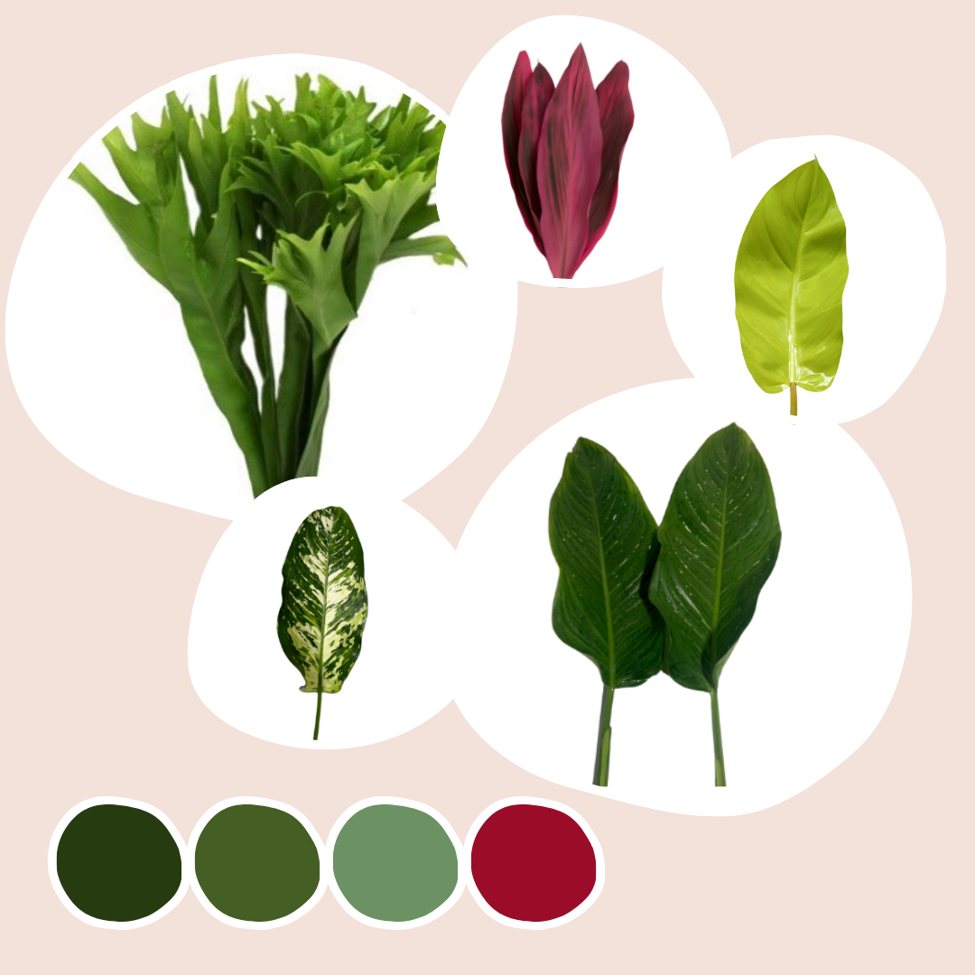Tropical Mixed Box – Jungle Greens – Flower Moxie