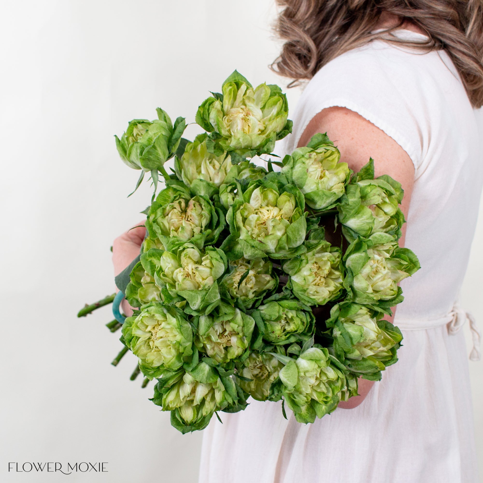 Green Veggie Garden Rose | DIY Wedding Flowers – Flower Moxie