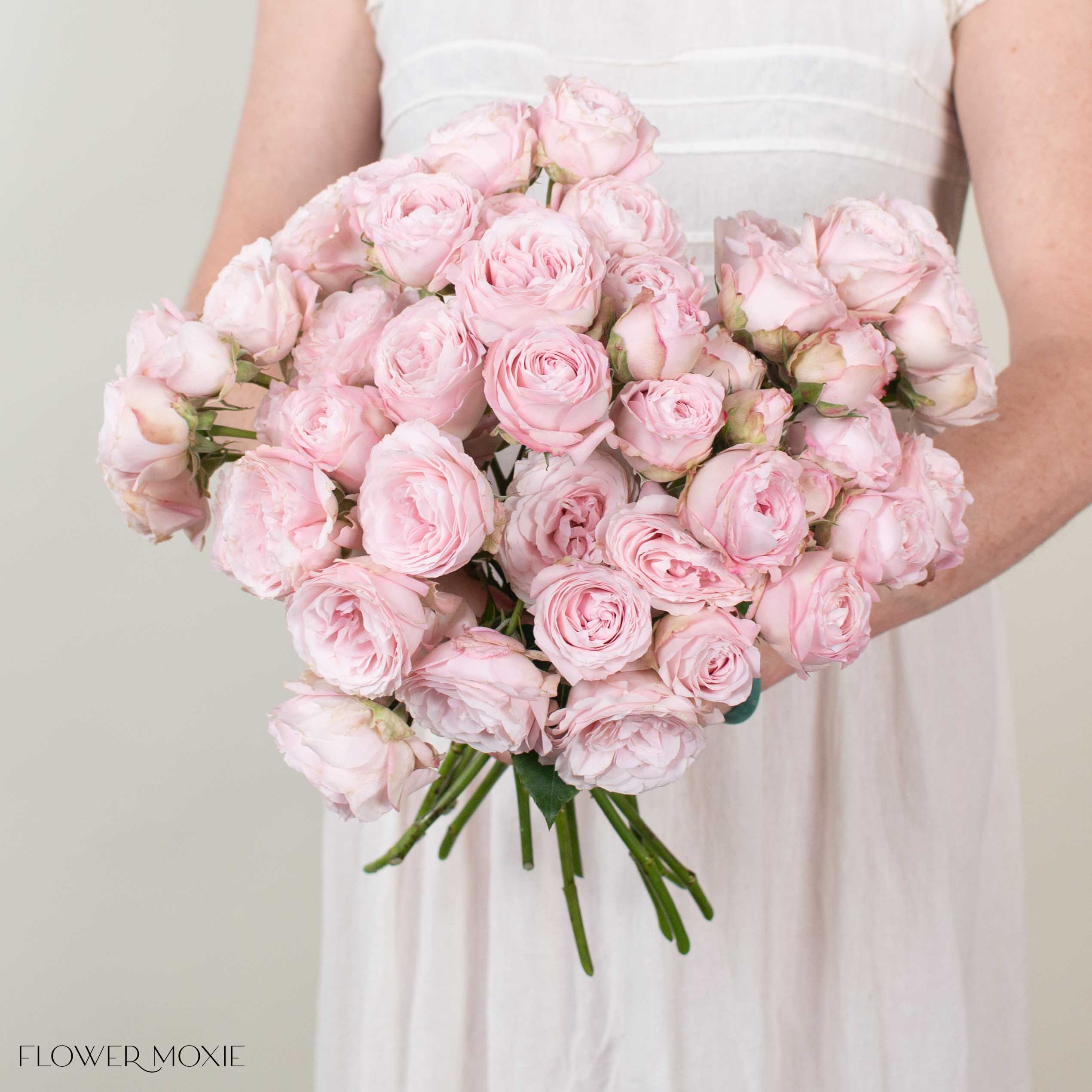 Light Pink Wedding Rosever Spray Garden Roses | Bulk Wedding Flowers ...