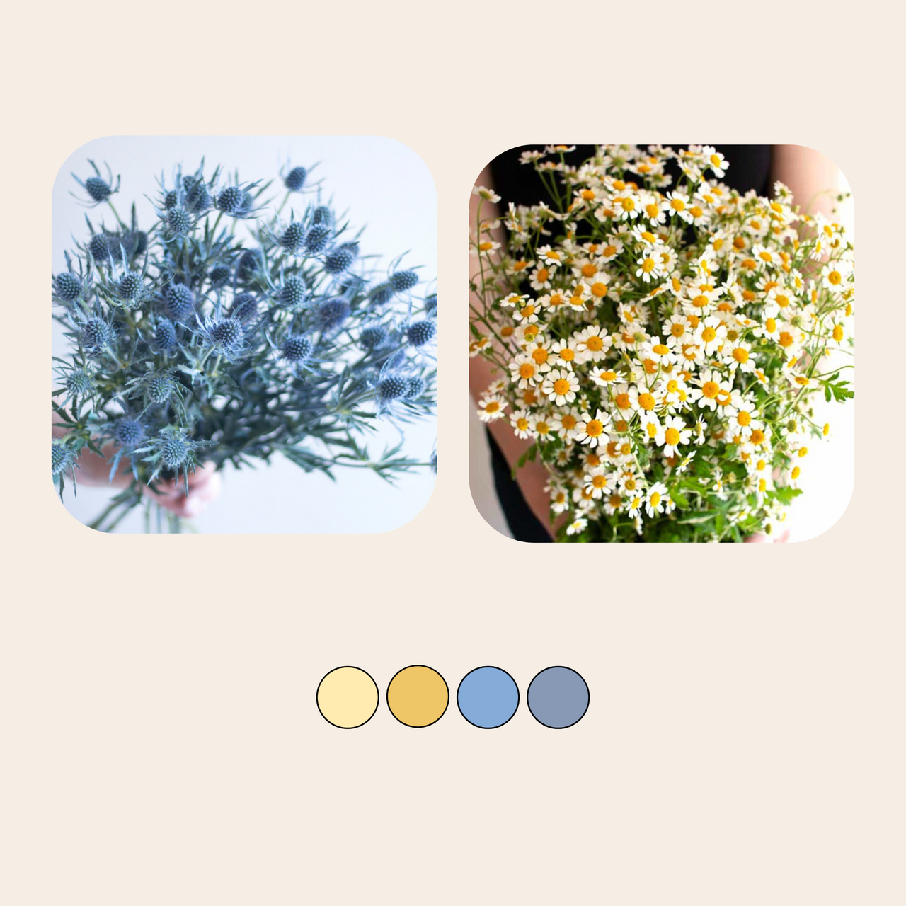 Blue and Indigo Mixed Flower Boxes | Bulk Fresh Wholesale Flowers ...