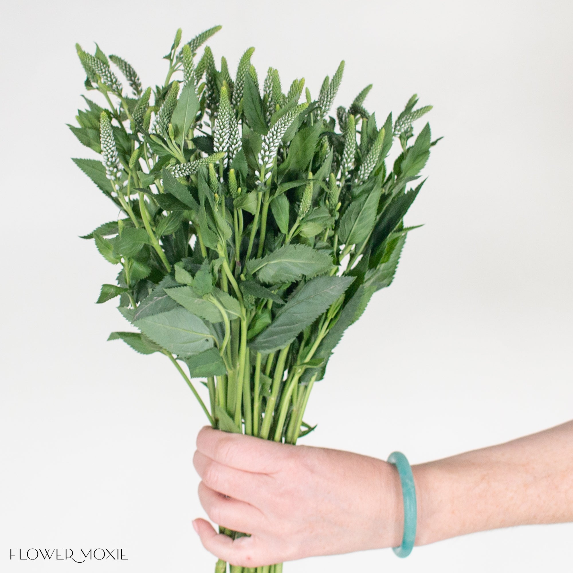 White Spray Veronica Flower | DIY Wedding Flowers | Flower Moxie