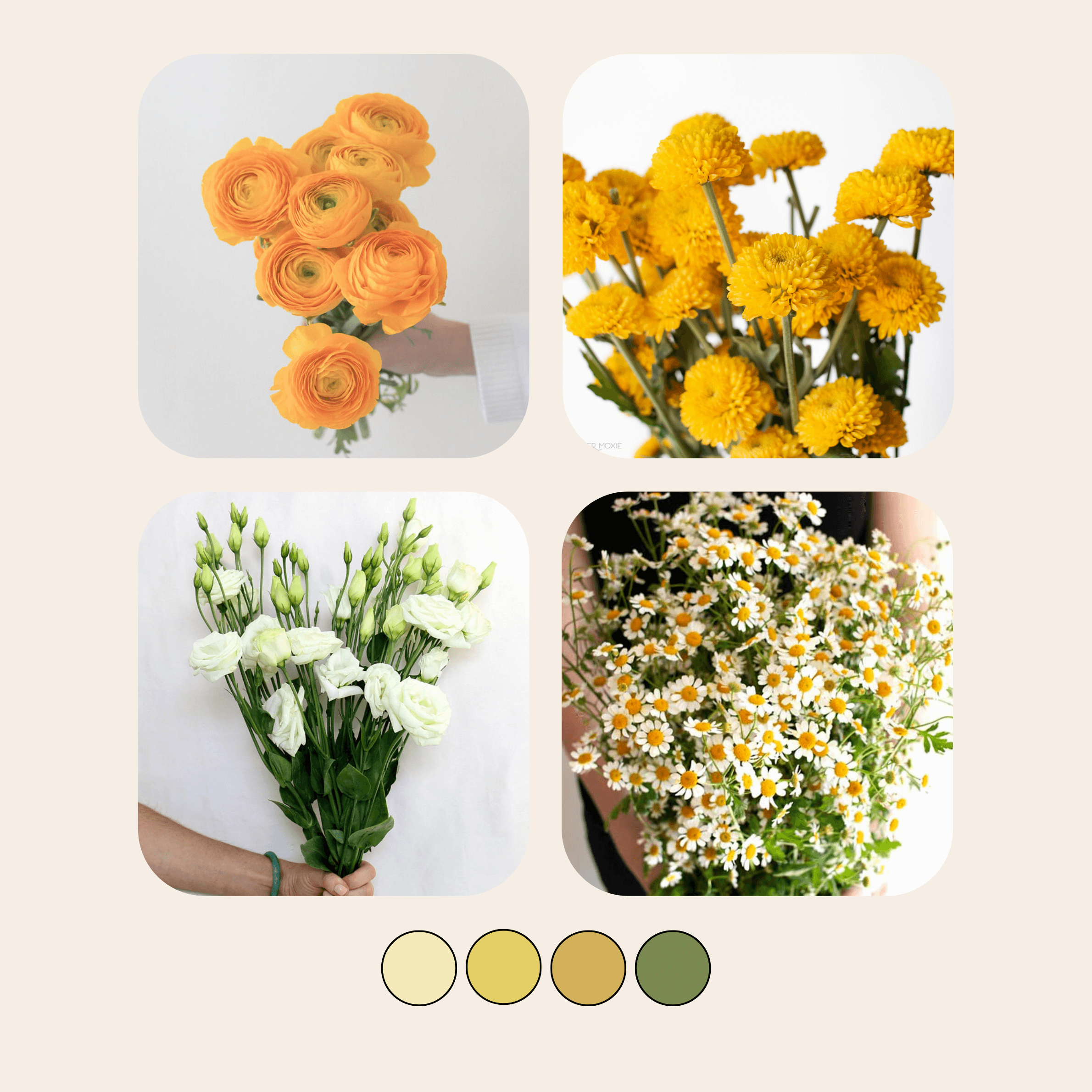 Yellow and White Mixed Box | Flower Moxie Bulk Flowers