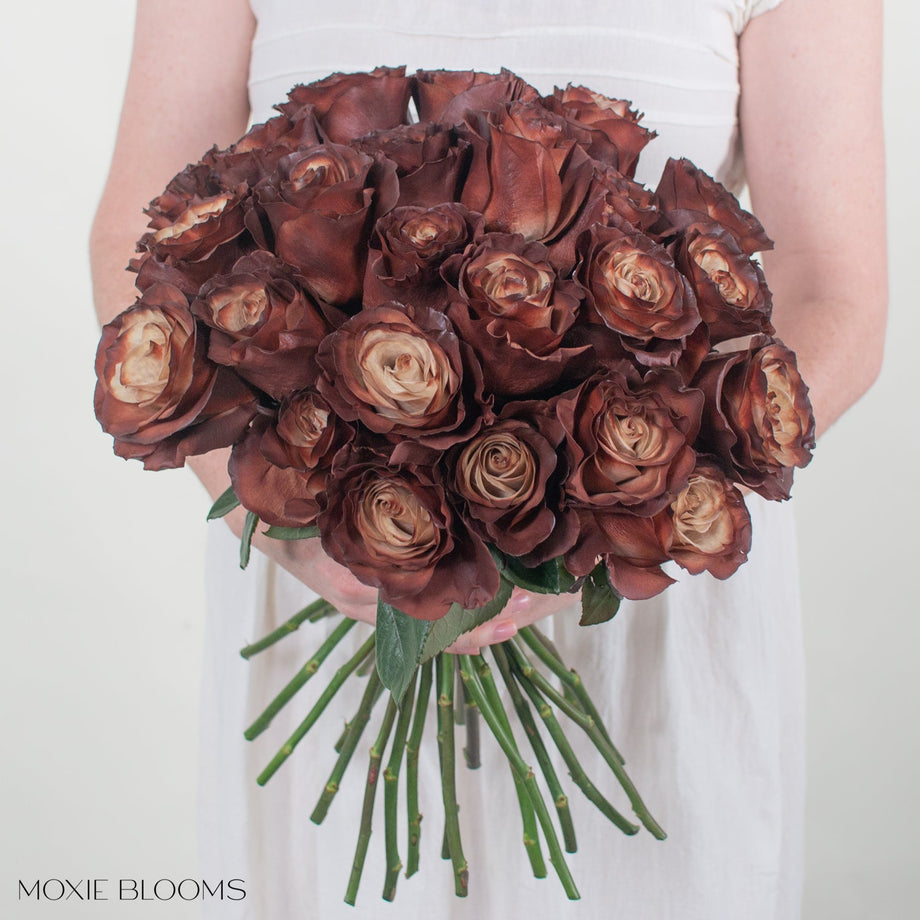 Novelty Roses – Flower Moxie