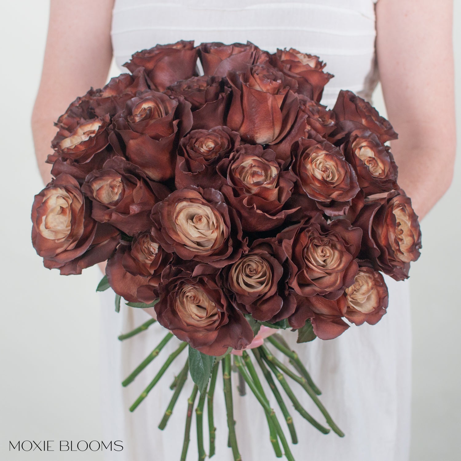 Novelty Roses | Flower Moxie | Roses for DIY Wedding