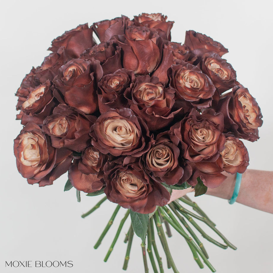 Novelty Roses – Flower Moxie