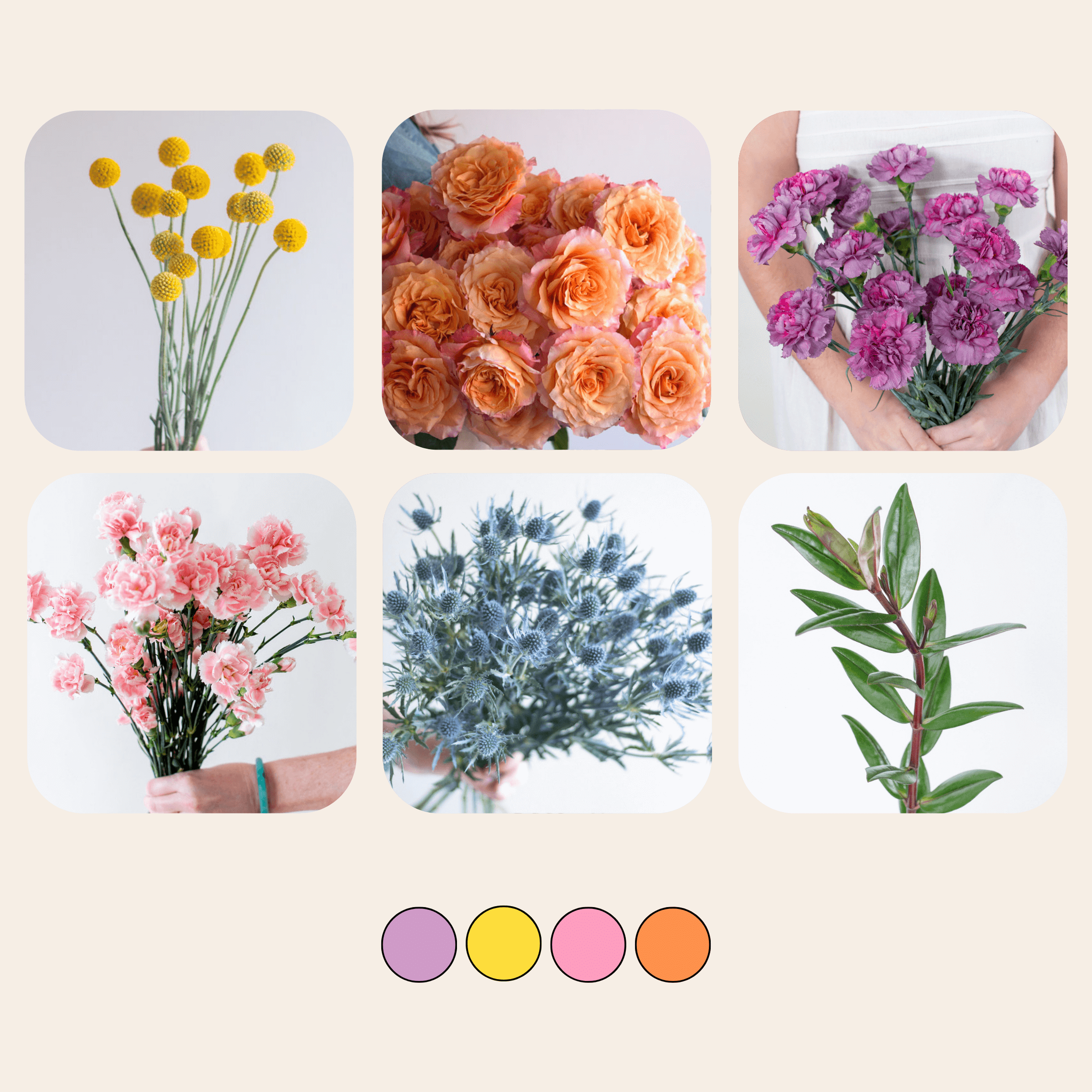Vibrant Mixed Box - Greenery | Flower Moxie Bulk Flowers