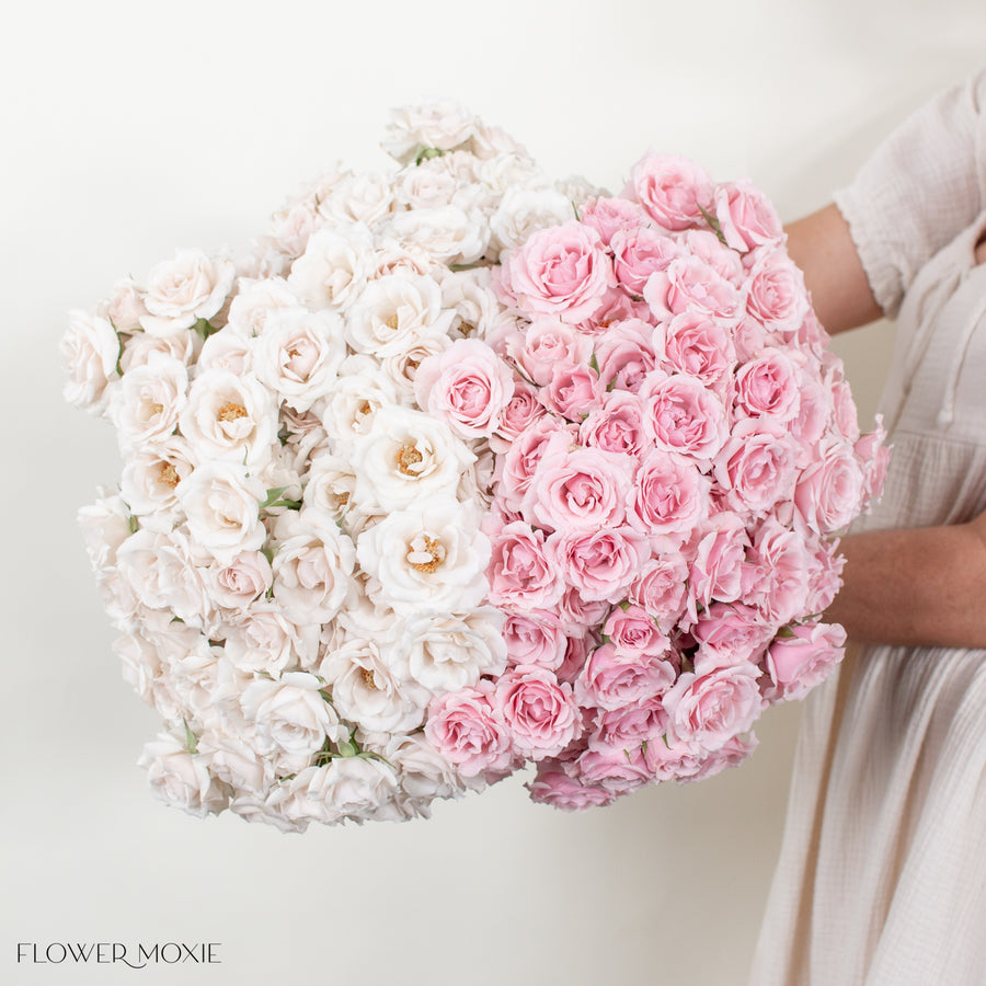 Majolika Spray Roses Mixed Box | Flower Moxie Bulk Flowers