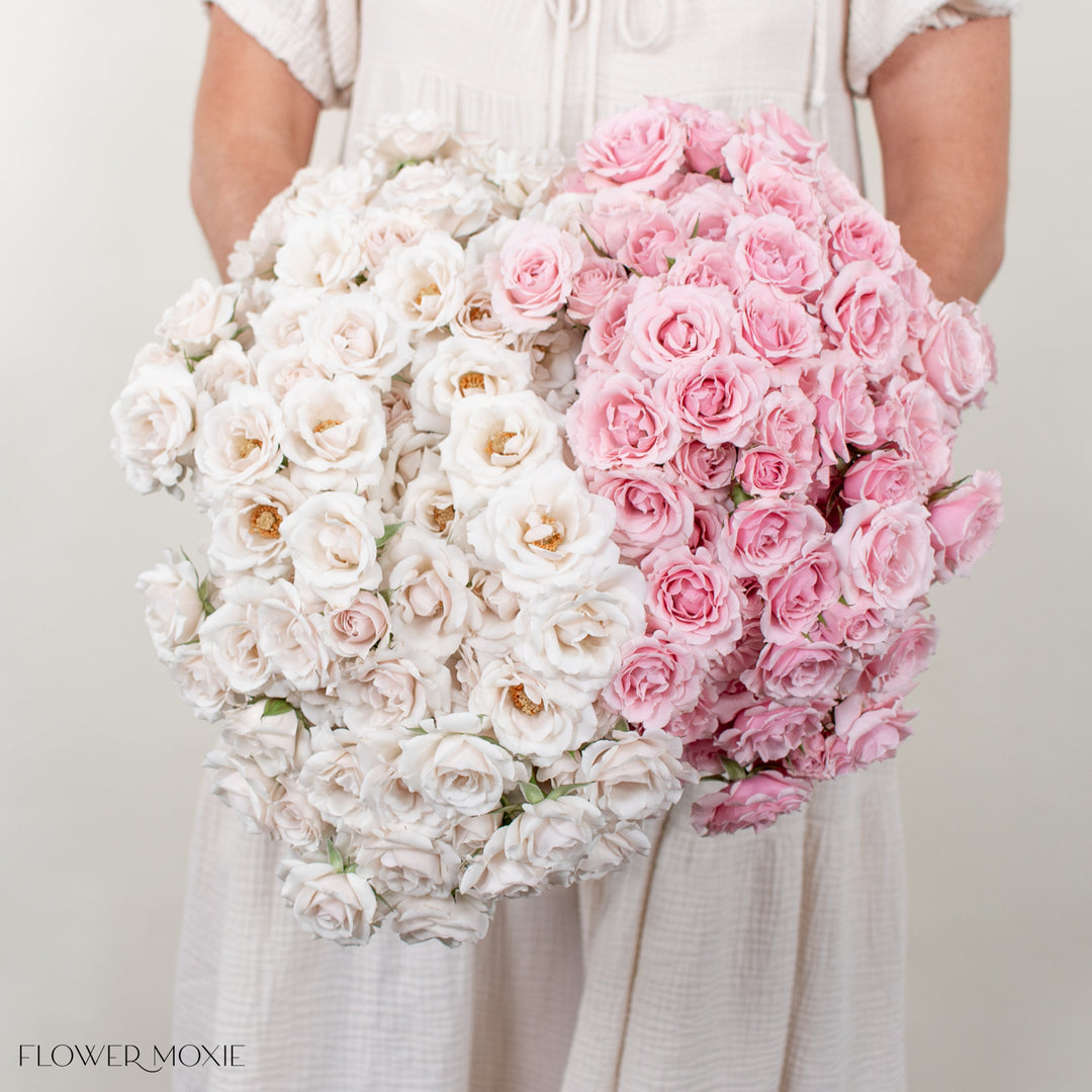 Majolika Spray Roses Mixed Box | Flower Moxie Bulk Flowers