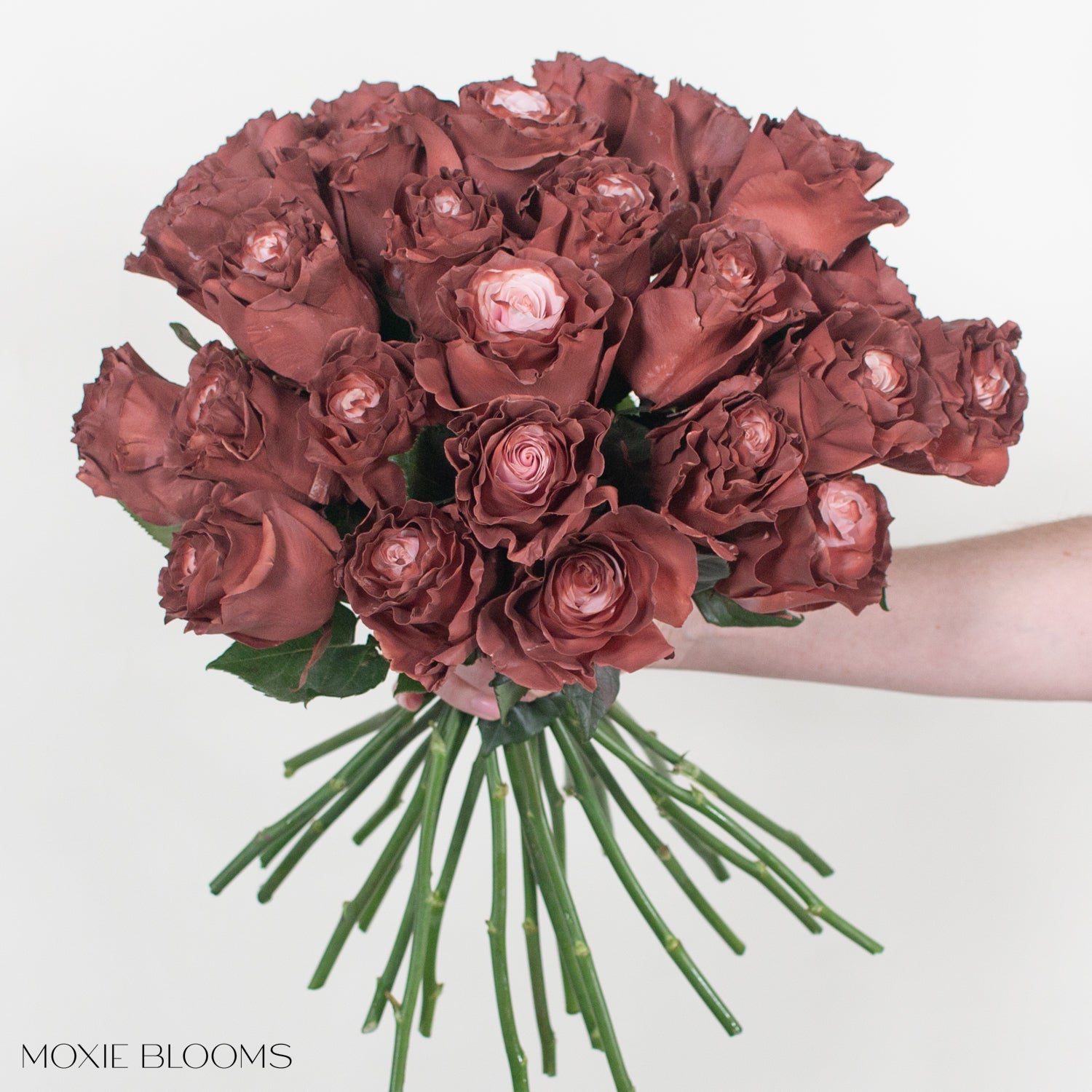 Novelty Roses | Flower Moxie | Roses for DIY Wedding