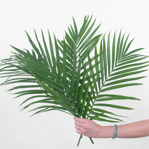 Tropical Flowers and Greenery | Fresh Palm Leaves for Weddings – Flower ...