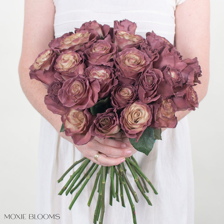 Novelty Roses – Flower Moxie