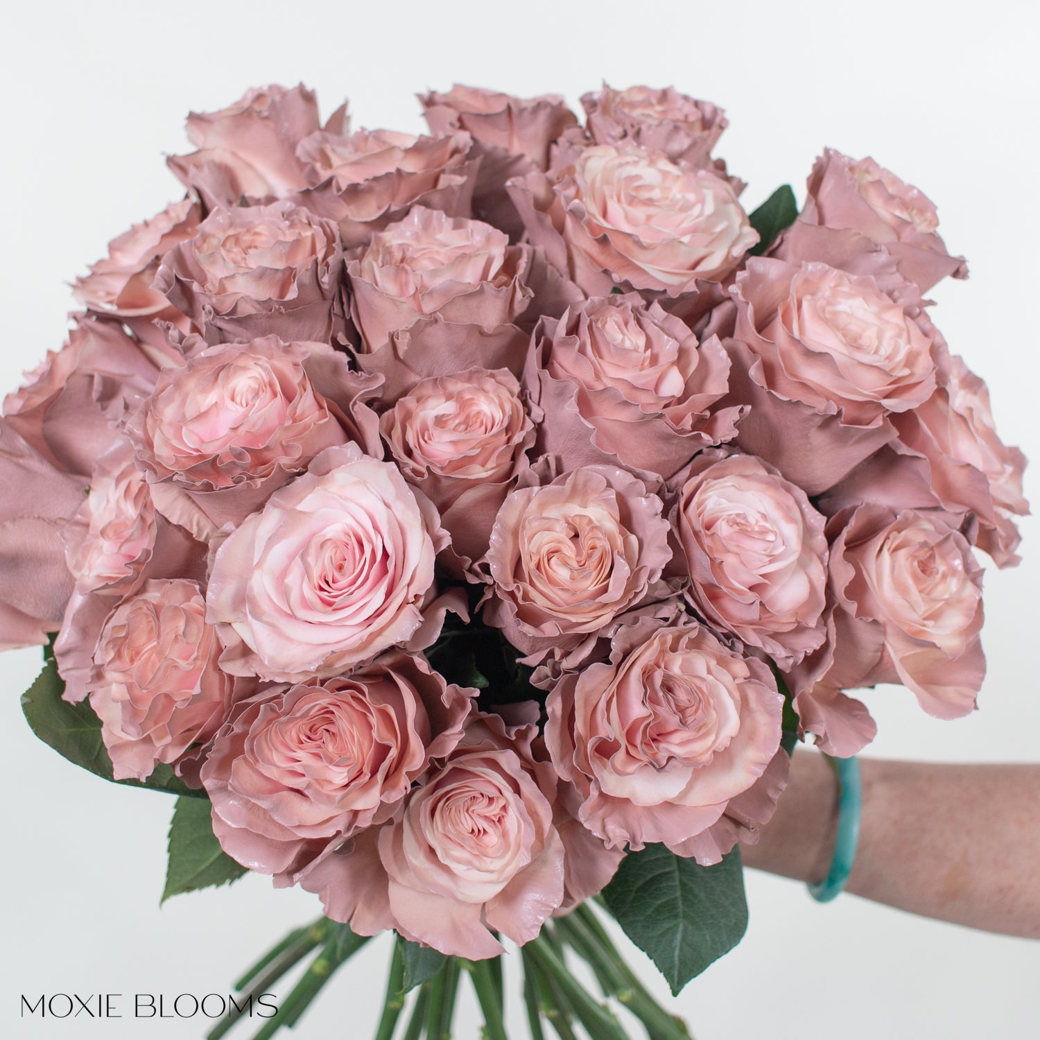 Novelty Roses | Flower Moxie | Roses for DIY Wedding