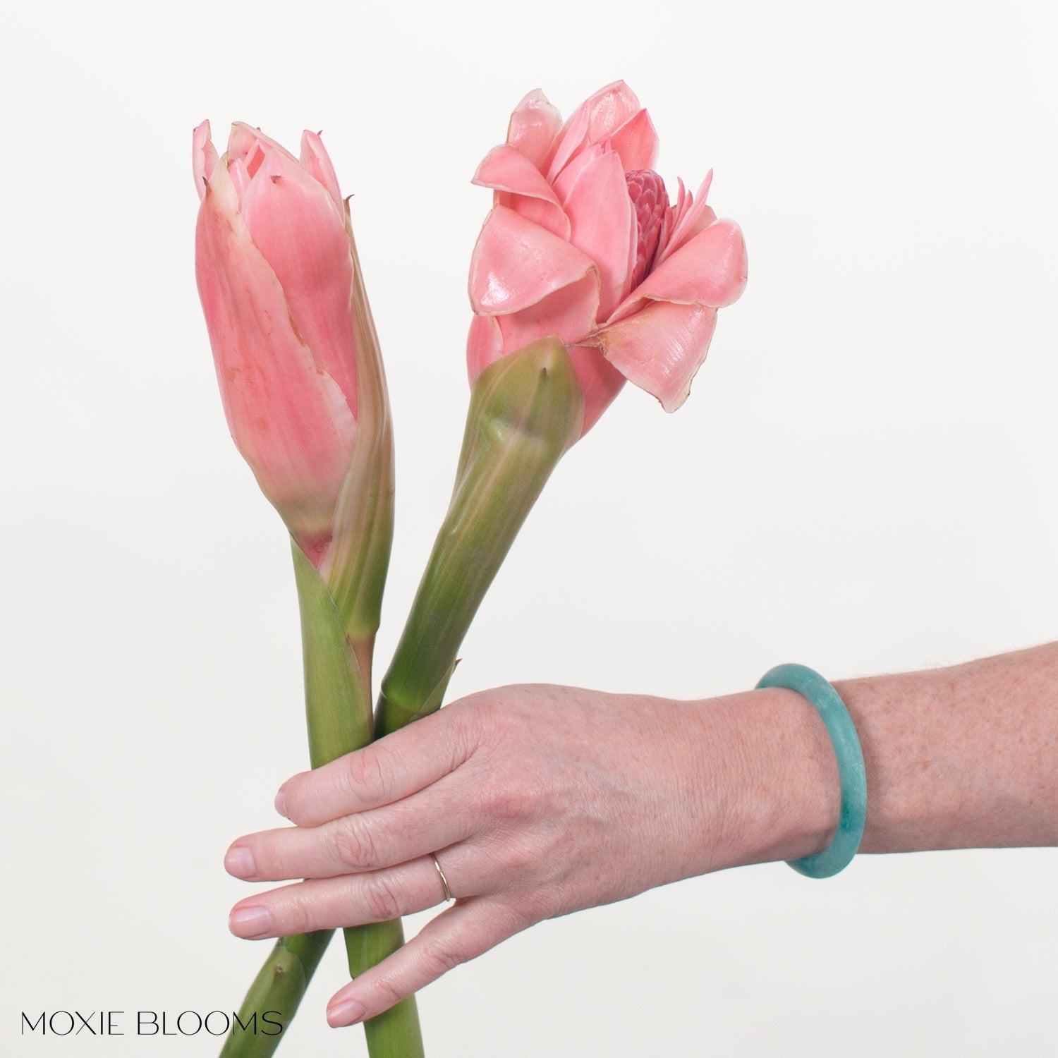 Buy Pink Ginger Torch - Flower Moxie | DIY Flowers Free Shipping