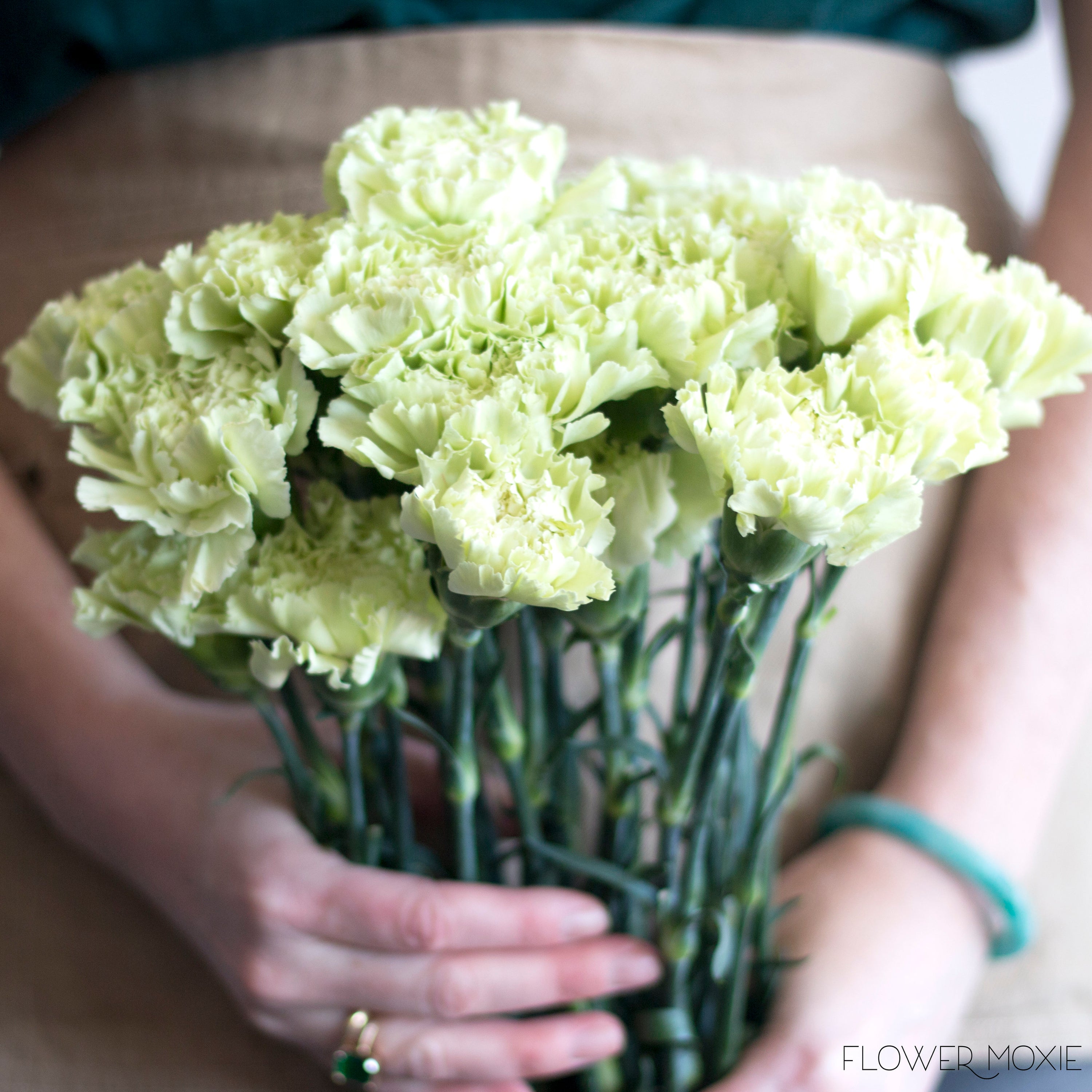 Green Carnations | Bulk Fresh DIY Wedding Flowers | Flower Moxie