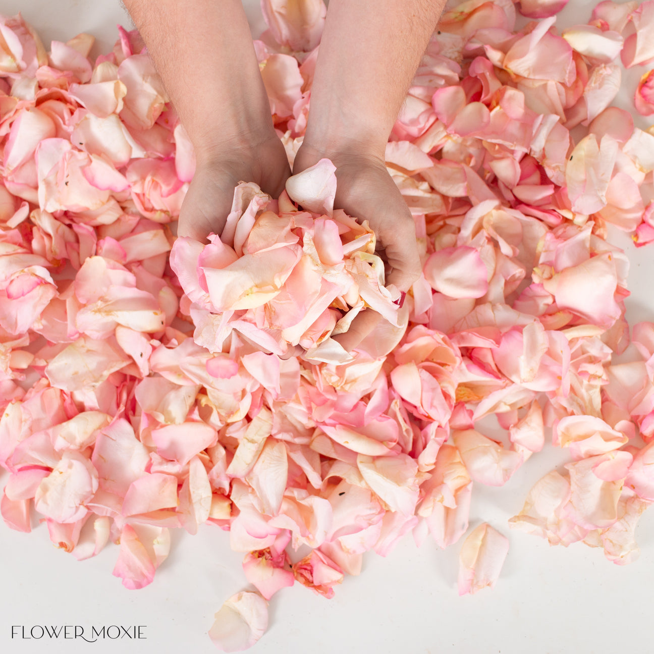 Light Pink Rose Petals | Fresh DIY Wedding Flowers | Flower Moxie