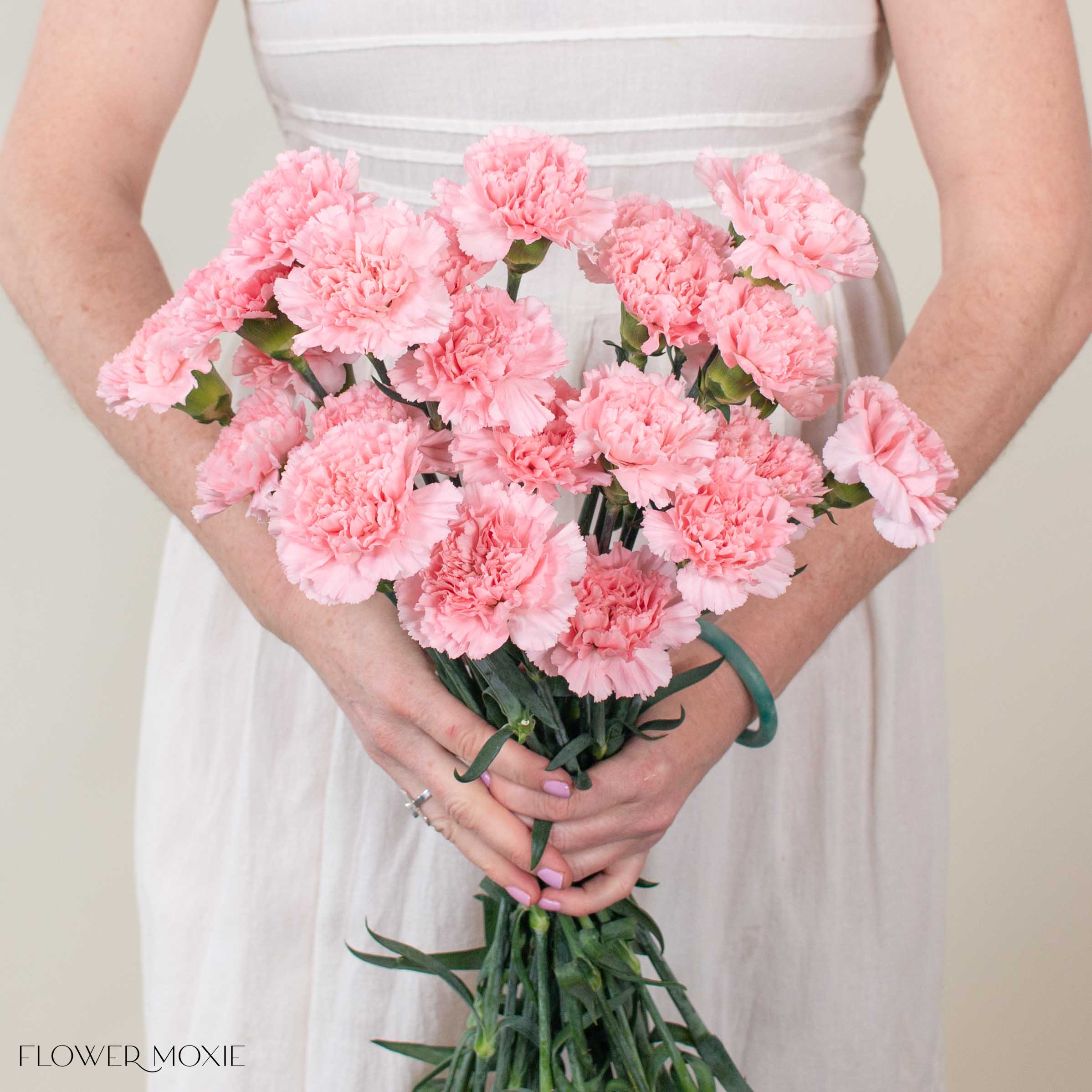 Blush Carnations | Bulk Fresh DIY Wedding Flowers | Flower Moxie